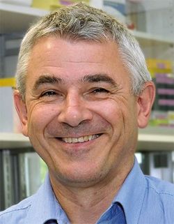 Metastasierung – Interview mit Experte Prof. Hellmut Augustin ...