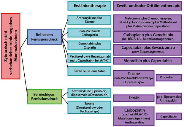 Systemische Therapie des fortgeschrittenen Mammakarzinoms