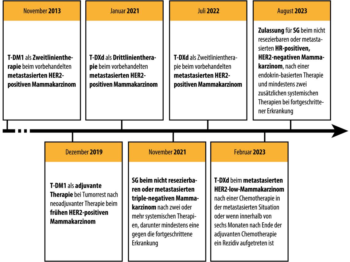 Antikörper-Wirkstoff-Konjugate beim Mammakarzinom