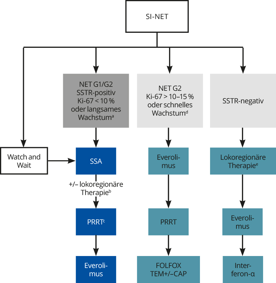 Neuroendokrine Neoplasien im GI-Trakt: Standards und Perspektiven