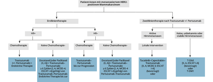 Therapie des metastasierten HER2-positiven Mammakarzinoms