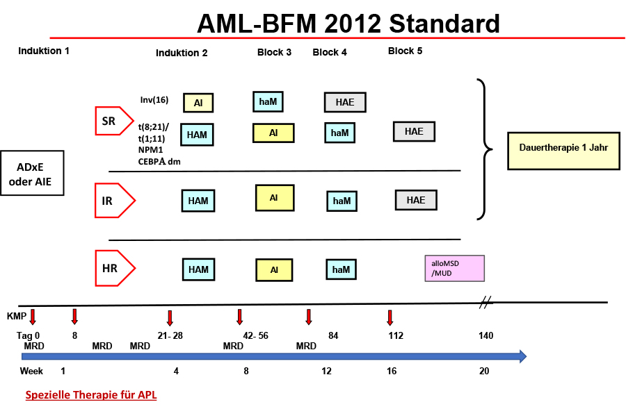 AML bei Kindern und Jugendlichen