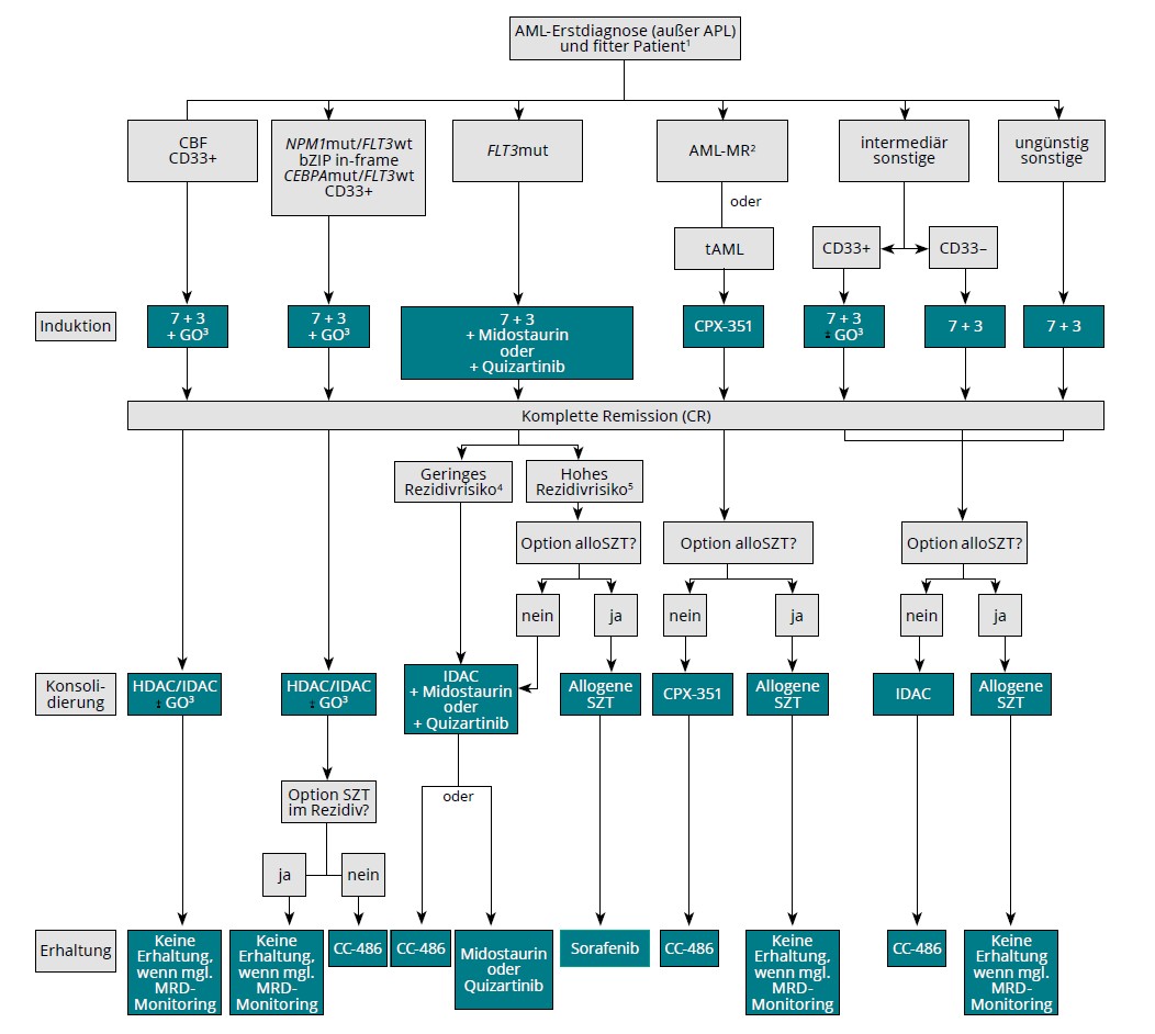 Differenzierter und zielgenauer: Etablierte und neue intensive ...